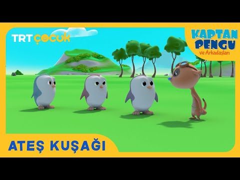 Kaptan Pengu ve Arkadaşları | Ateş Kuşağı