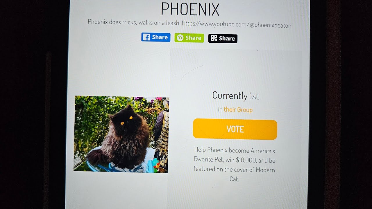 VOTE for Phoenix!!! Americas Favorite Pet - YouTube