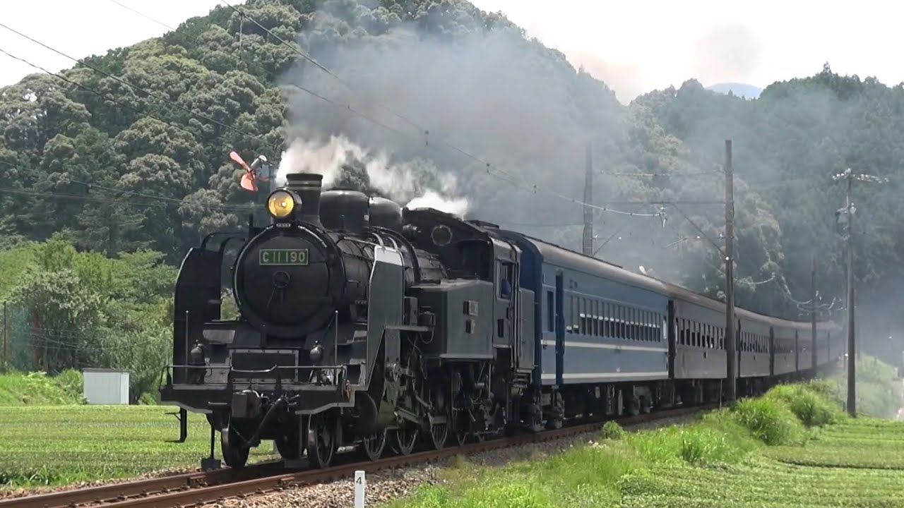 懐かし動画 2015年7月12日(日) 大井川鉄道 101列車 SLかわね路1号 千頭行 C11 190＋スハフ43 1両＋旧客6両＋E101電気機関車 家山ー抜里間 通過 警笛あり ...
