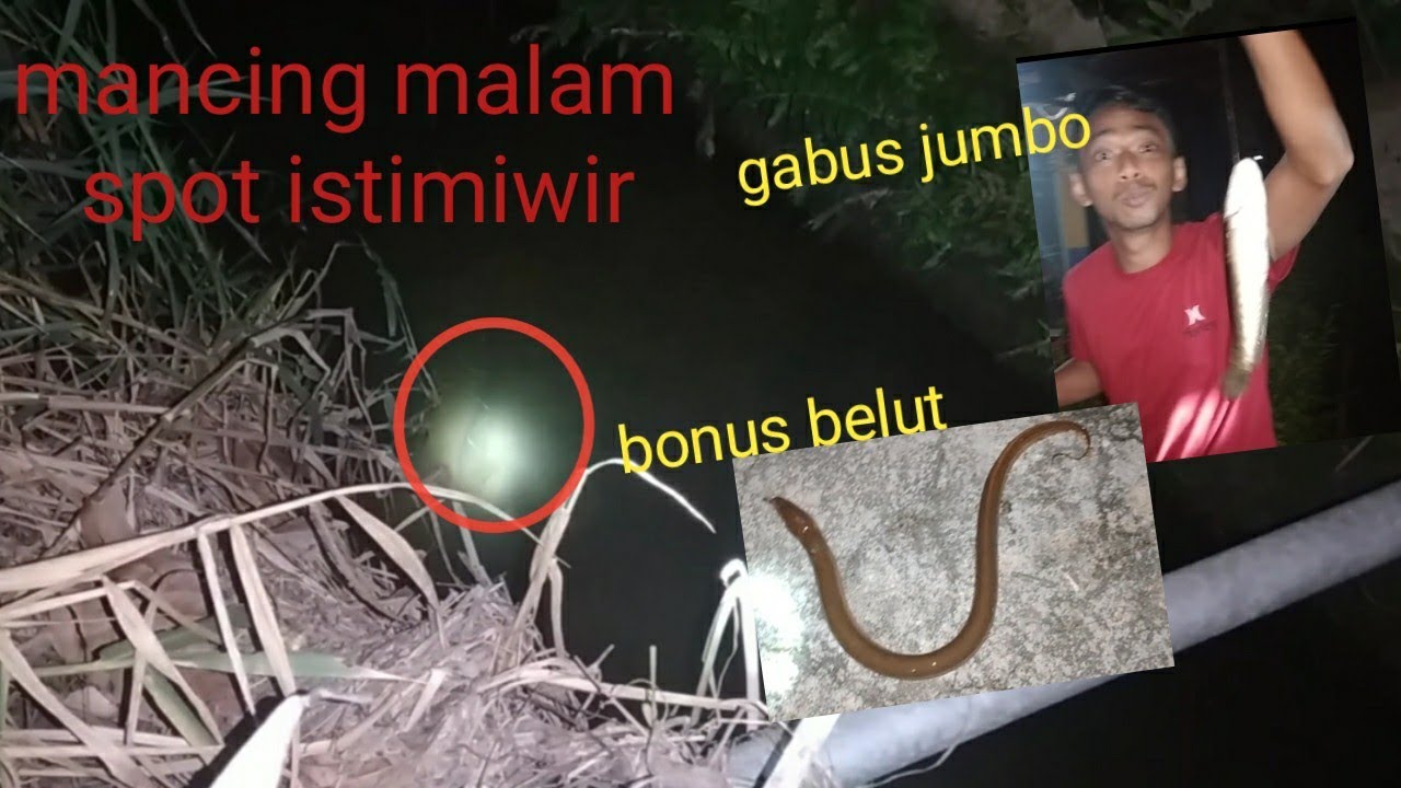 Mancing malam, spot istimewa - YouTube