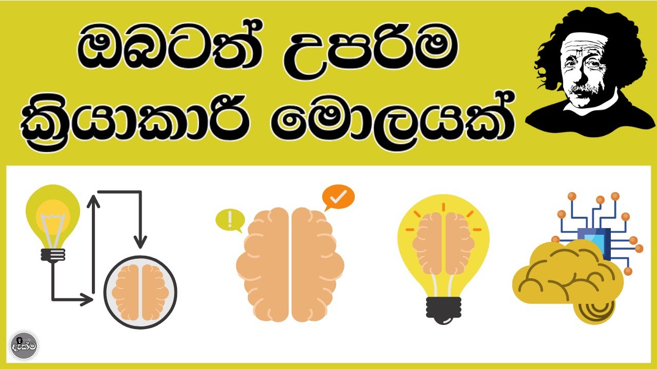 High performance brain training (ඔබටත් උපරිම ක්‍රියාකාරී මොලයක් ) - YouTube