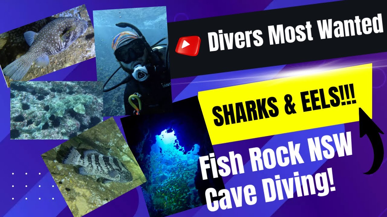 FISH ROCK NSW (CAVE DIVING) - YouTube