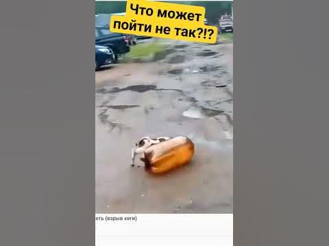Безобидная кега для пива - YouTube