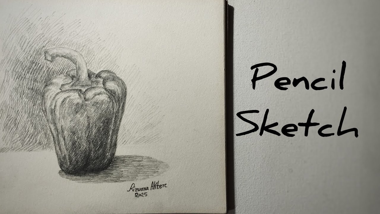 Bell pepper | Pencil sketch - YouTube