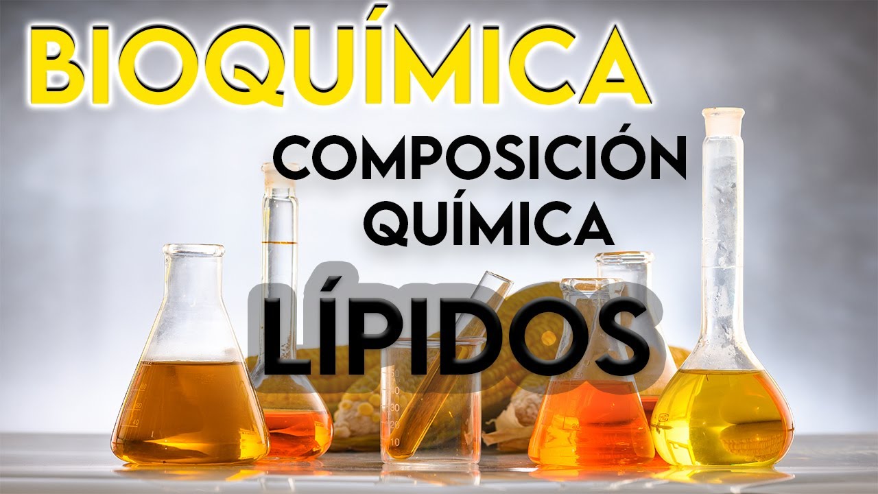 28- COMPOSICIÓN QUÍMICA DE LOS LÍPIDOS || BIOQUÍMICA - YouTube