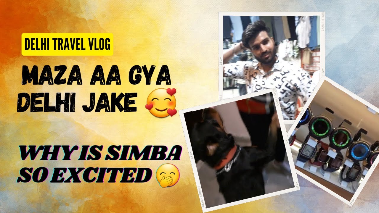 Delhi travel & Shooping vlog 🛍️ Why is Simba so Excited 🤭 - YouTube