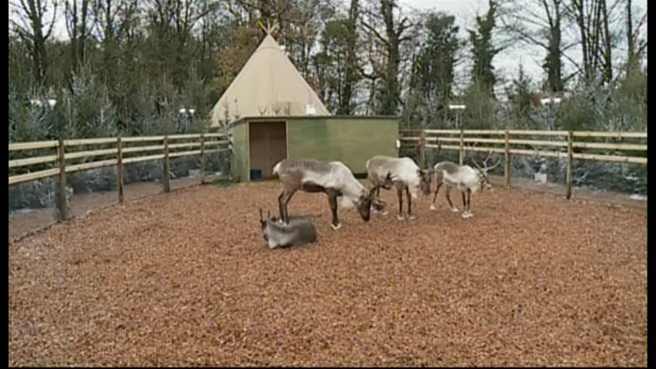 ITV News Central - (Weekend) - 23rd November 2014 - YouTube