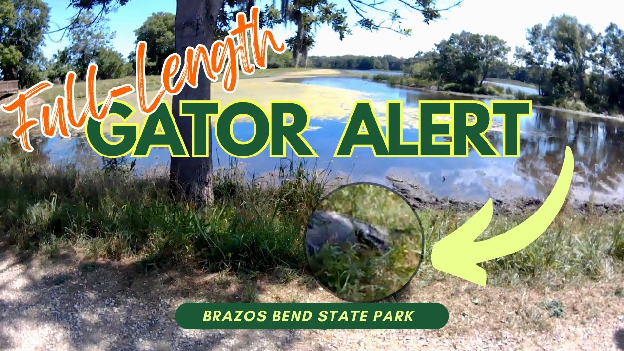 Brazos Bend State Park (Texas) Spring Hike/Walk with Close Alligator ...