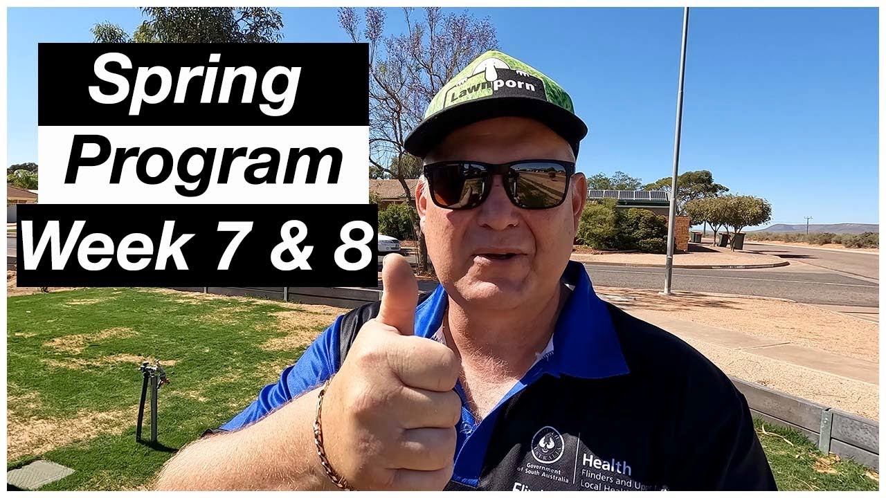 Spring Week 7 and 8 - YouTube
