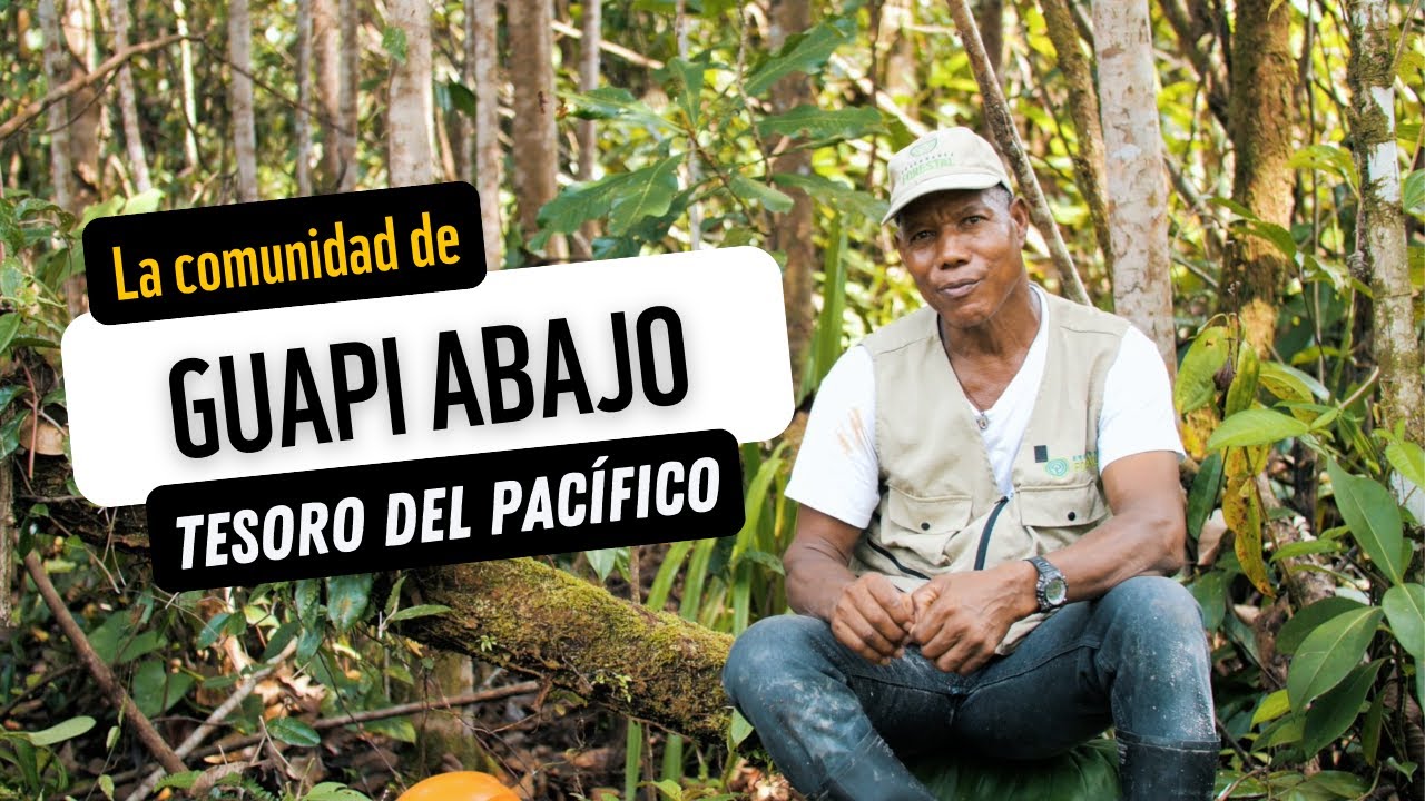Guapi Abajo: el tesoro natural y cultural amenazado del Pacífico ...