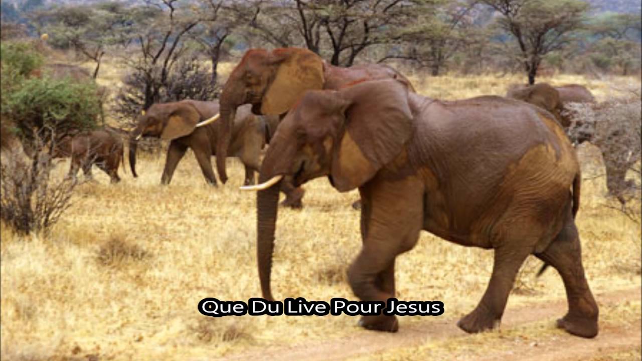 Tu es tout pour moi Oh (Français&Bété) - LIVE CIV 2K16 - YouTube