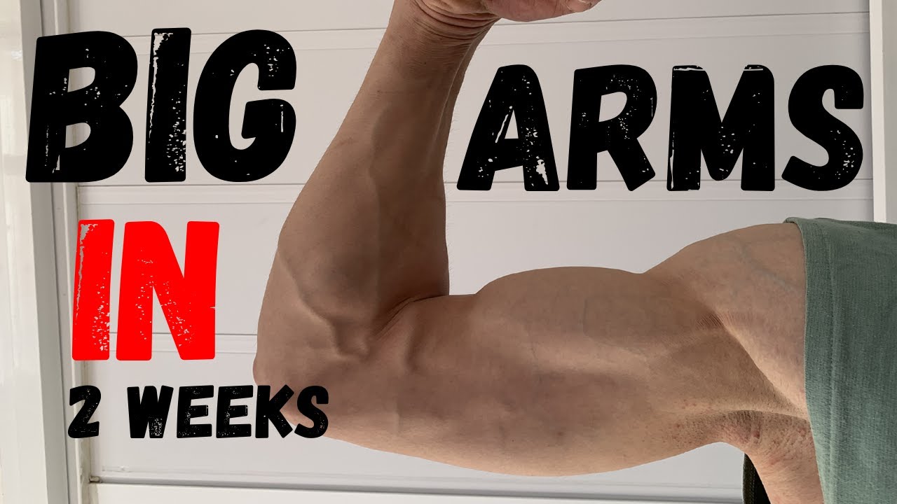 Big Arms in 2 WEEKS ! ( Home & Gym ) - YouTube