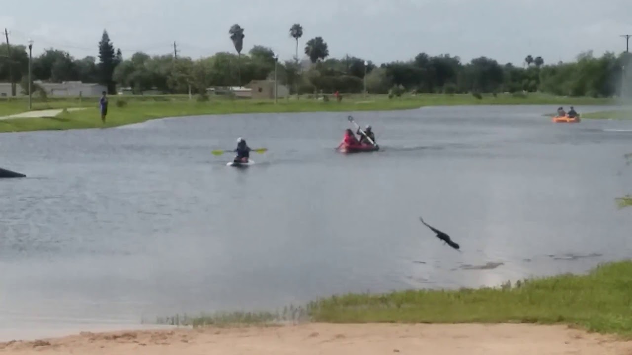 carrera de kayak vs paddleboar - YouTube