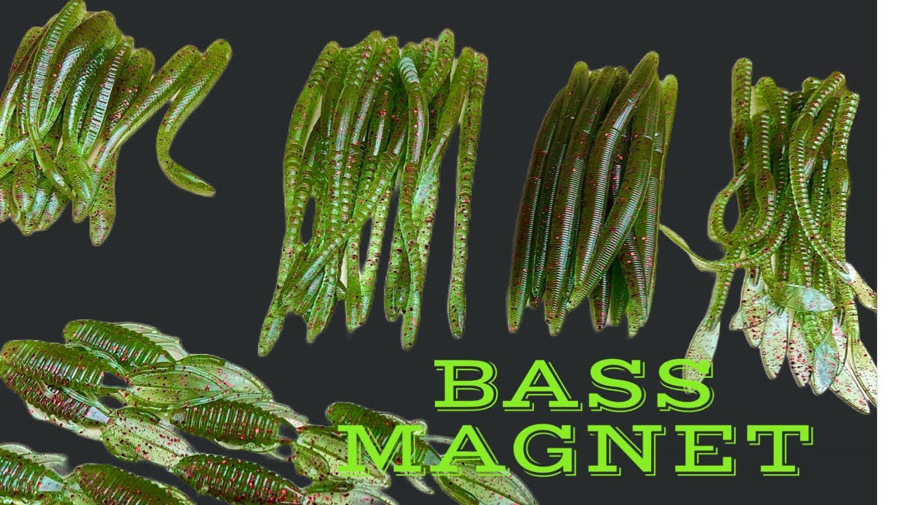 The Ultimate Bass Magnet: Discover the Color that Always Works! - YouTube