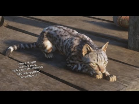 Arthur Morgan Valentine block Fights guns and robberies Rdr2 boring ...