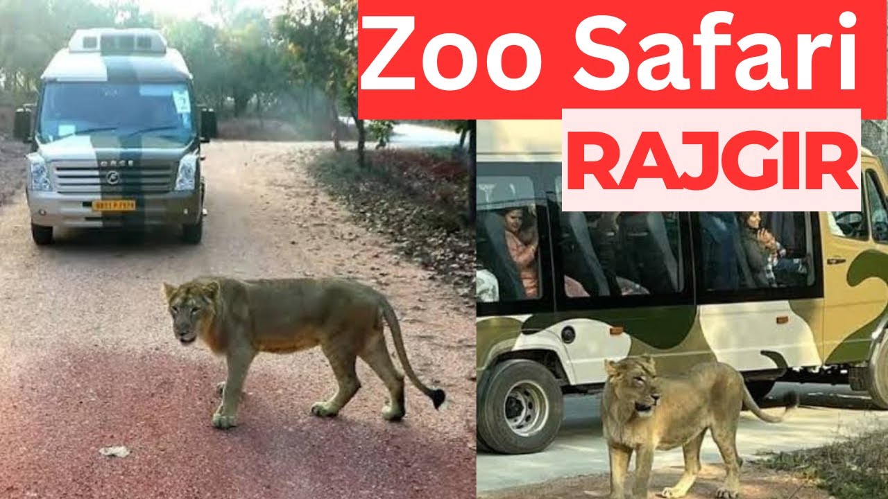 Rajgir Zoo Safari | Rajgir Wildlife Safari Ep 2 - YouTube