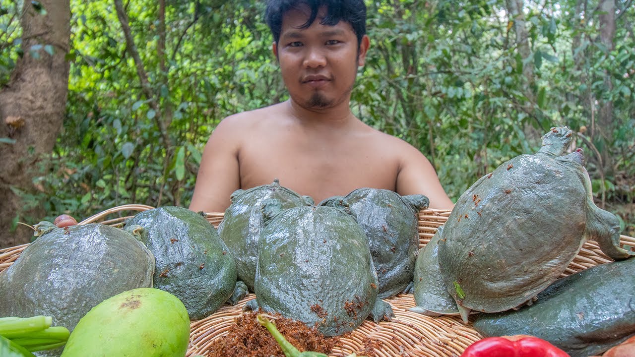 Catching and Cooking Turtles In the River Eating Delicious - YouTube