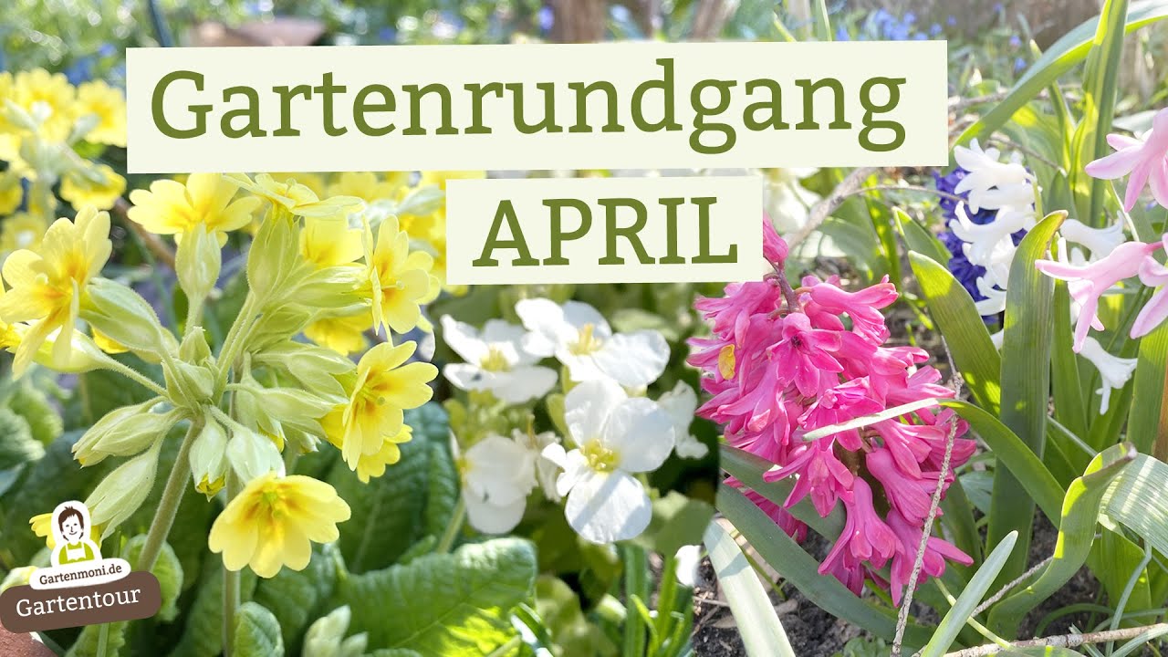 Gartenrundgang im April - Ostern 2023 - YouTube
