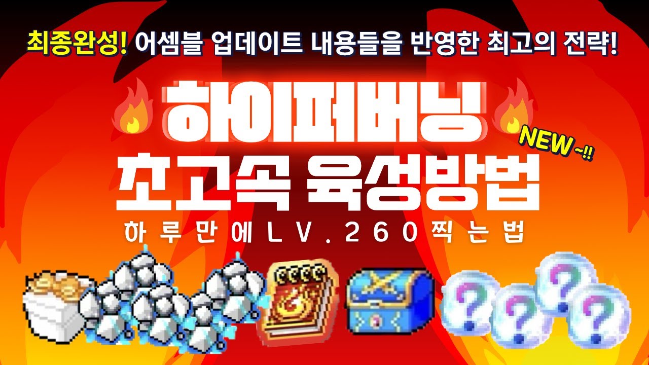 메이플스토리 하이퍼 버닝 MAX 공략 (캐릭터 생성 ~ 260레벨) | Vortex Gaming