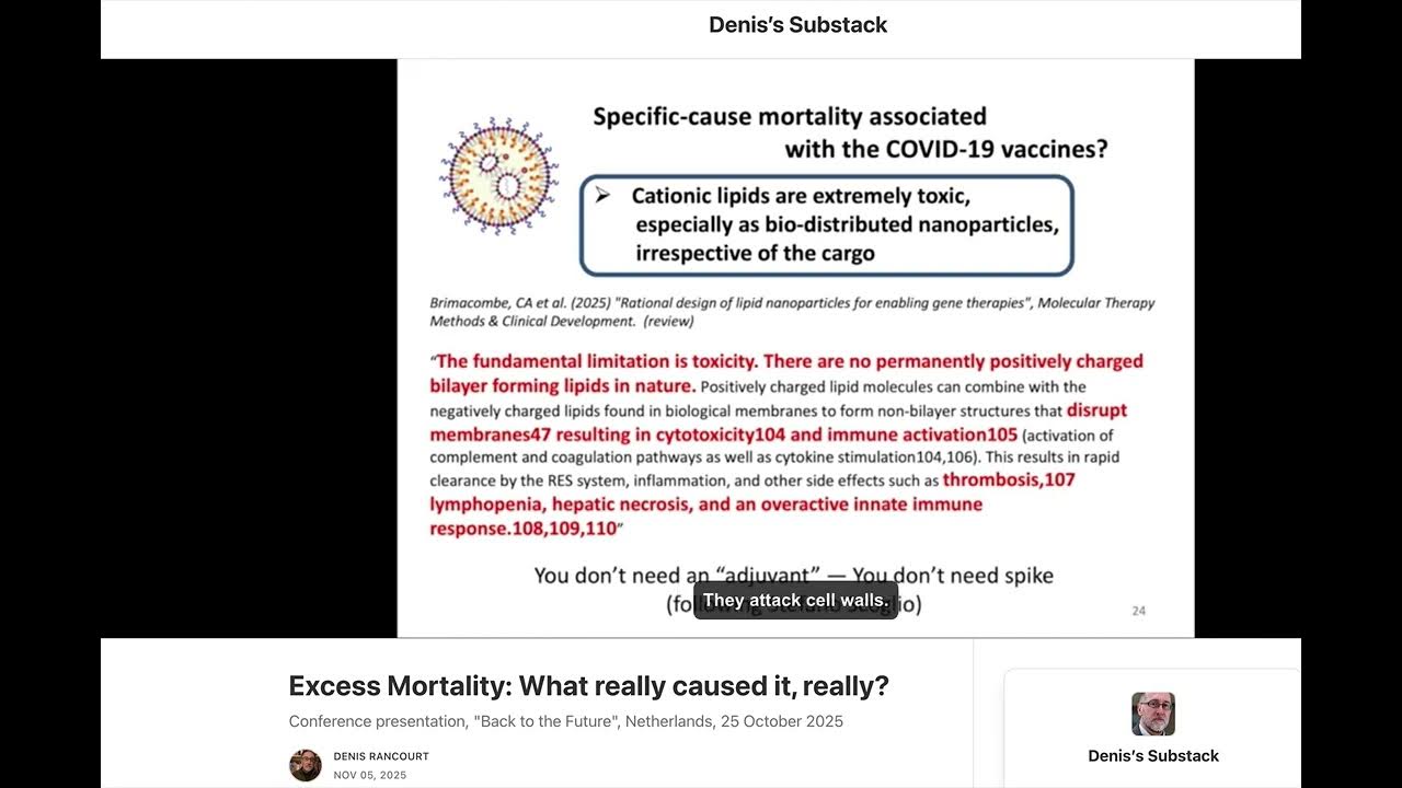 Denis Rancourt on cationic nanoparticles - YouTube