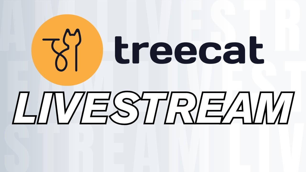 Treecat Chat - Q&A Live Stream 7/20/2024 - YouTube