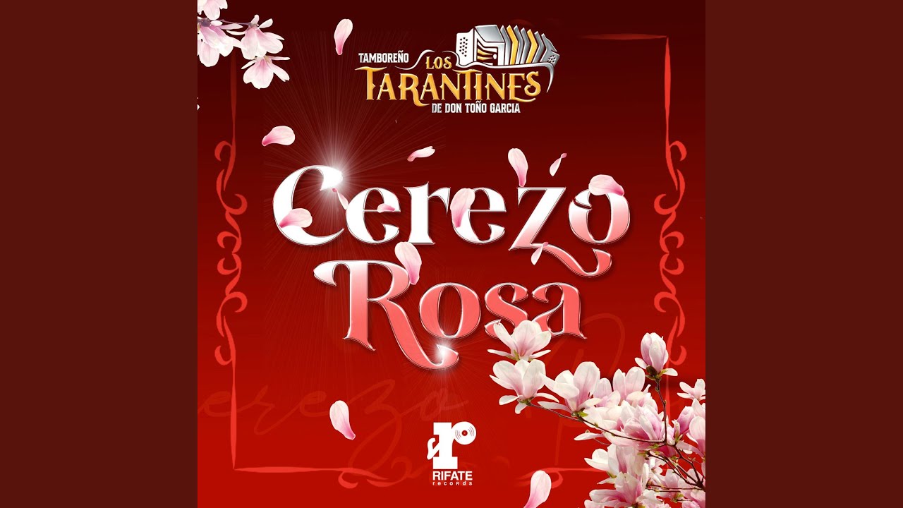 Cerezo Rosa - YouTube