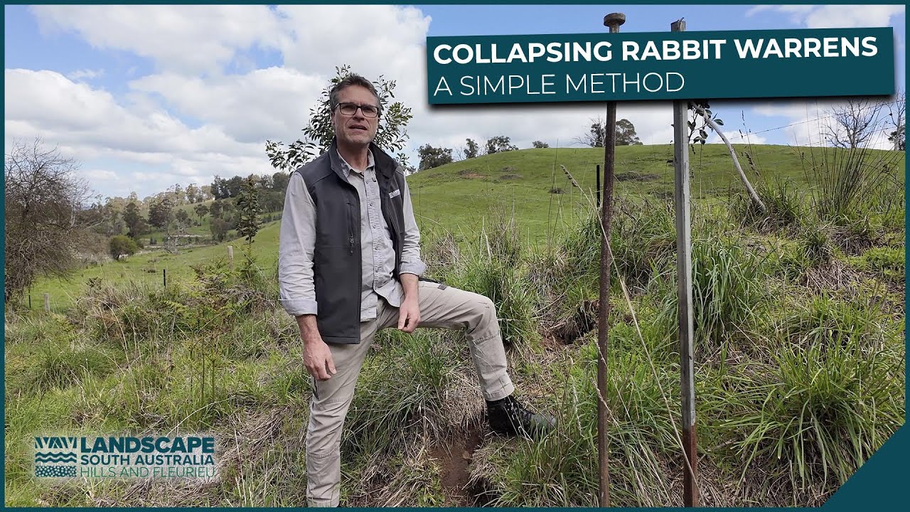 A simple method for collapsing rabbit warrens - YouTube