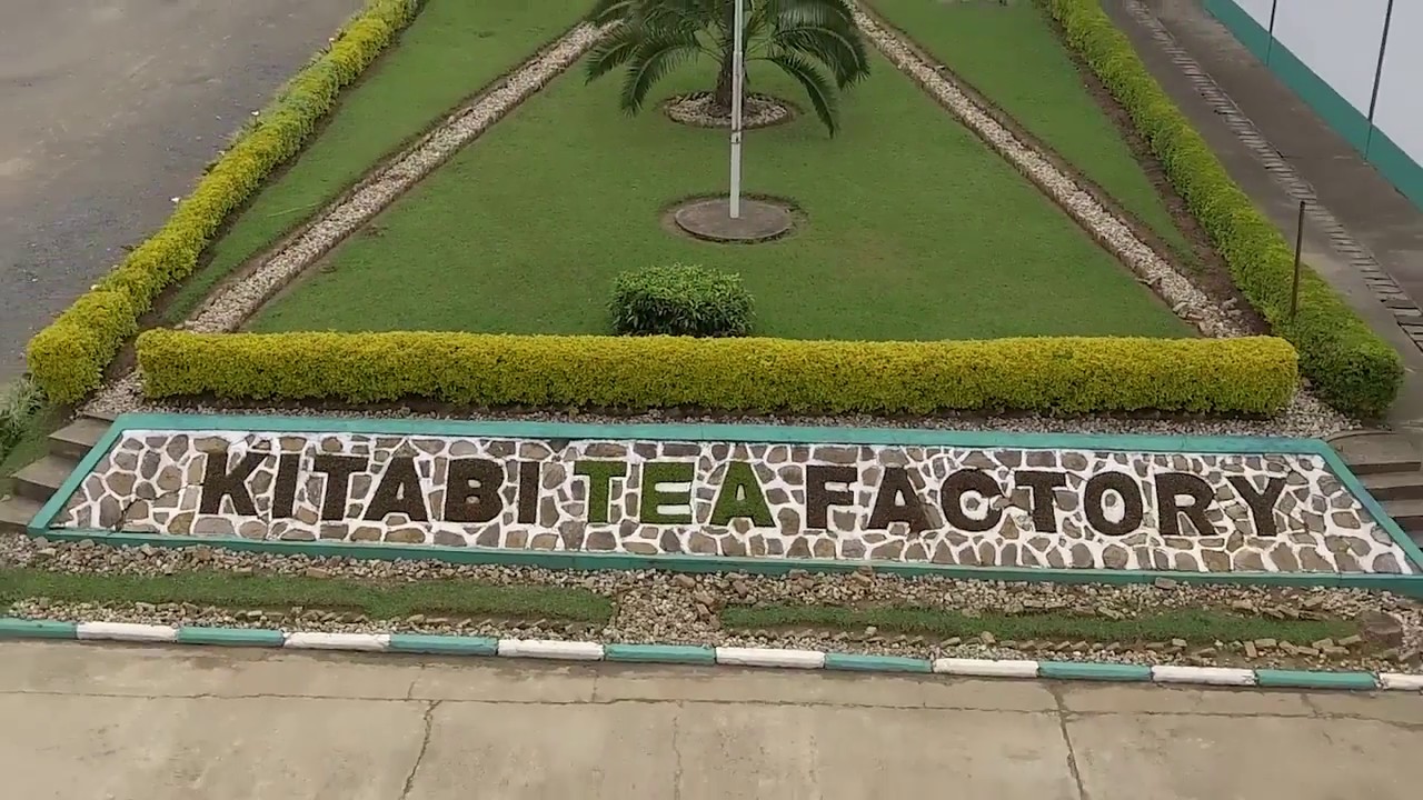 Kitabi Tea Estate - YouTube