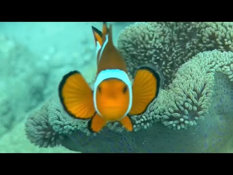 SISID | TENTAY FOWLER MINI VLOG - YouTube