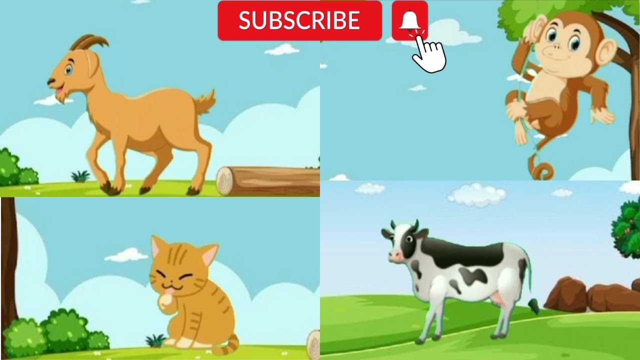 Beautiful video about animals | Animals for kids to joy | Animals - YouTube