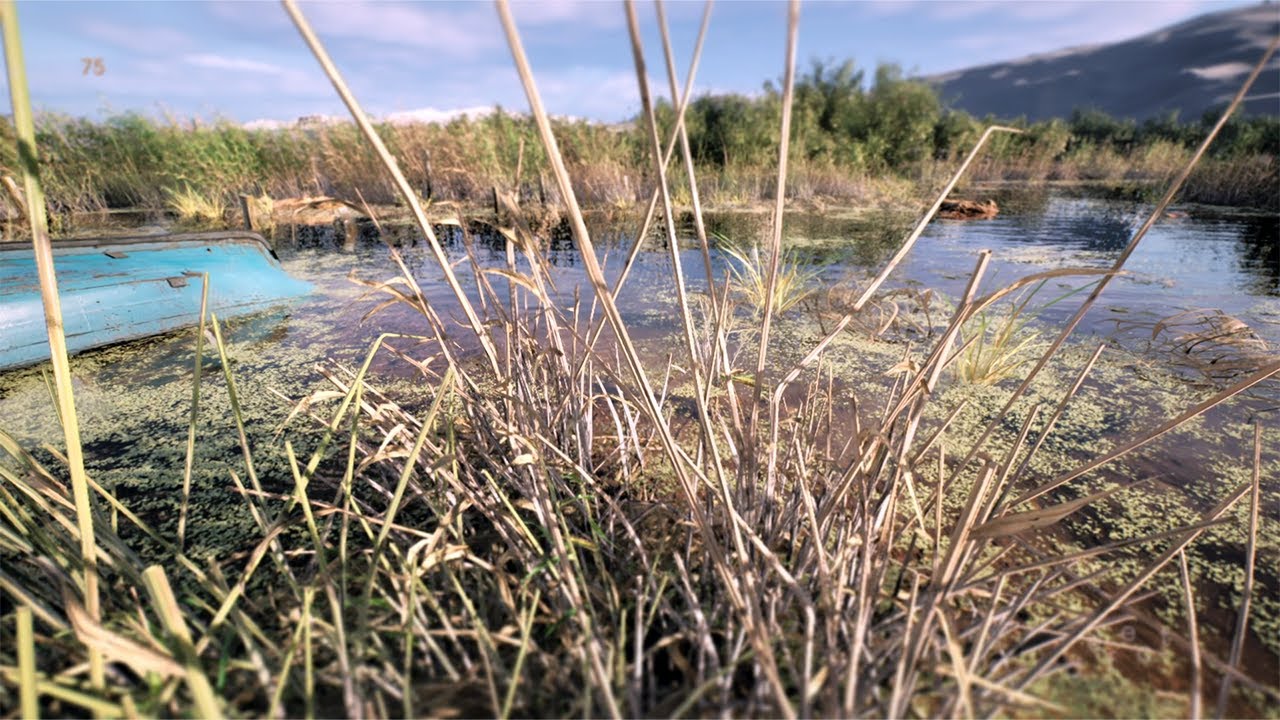 River Biome Generator | Interactive Foliage, Tree, Water | Unreal ...