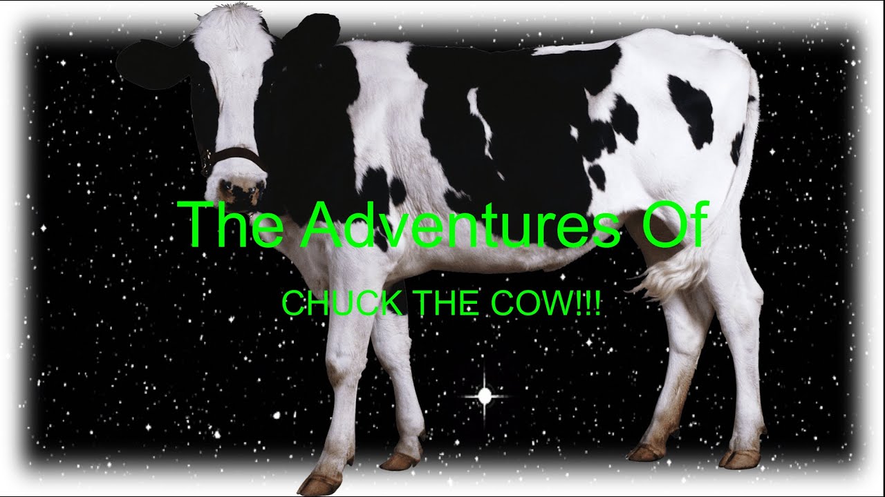 The Adventures of Chuck the Cow - YouTube