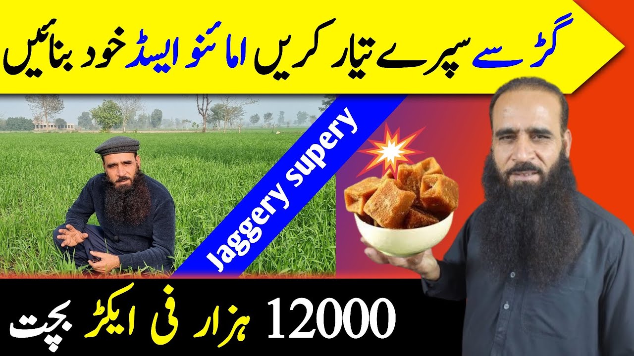 jaggery benefits | jaggery making at home | organic farming ...