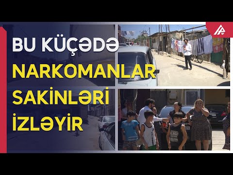 Gündüz üfunət, gecə narkoman əlindən tərpənmək olmur - APA TV