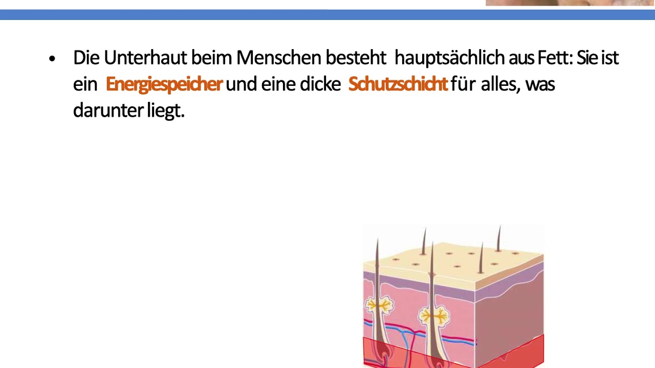 Aufbau der Haut - YouTube