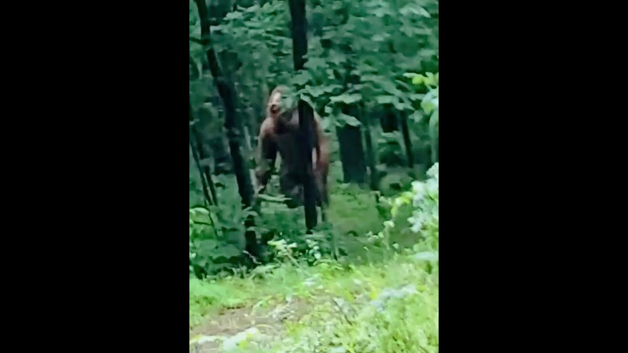 THIS DISTURBING FOOTAGE OF DOGMAN WAS JUST CAUGHT ON CAMERA!! - YouTube