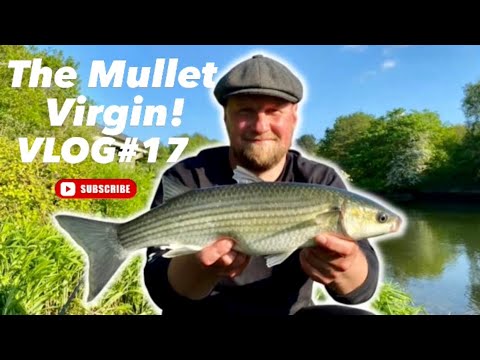 UK SEA FISHING-THE MULLET CHALLENGE-GUIDED SESSION-RIVER PLYM ...