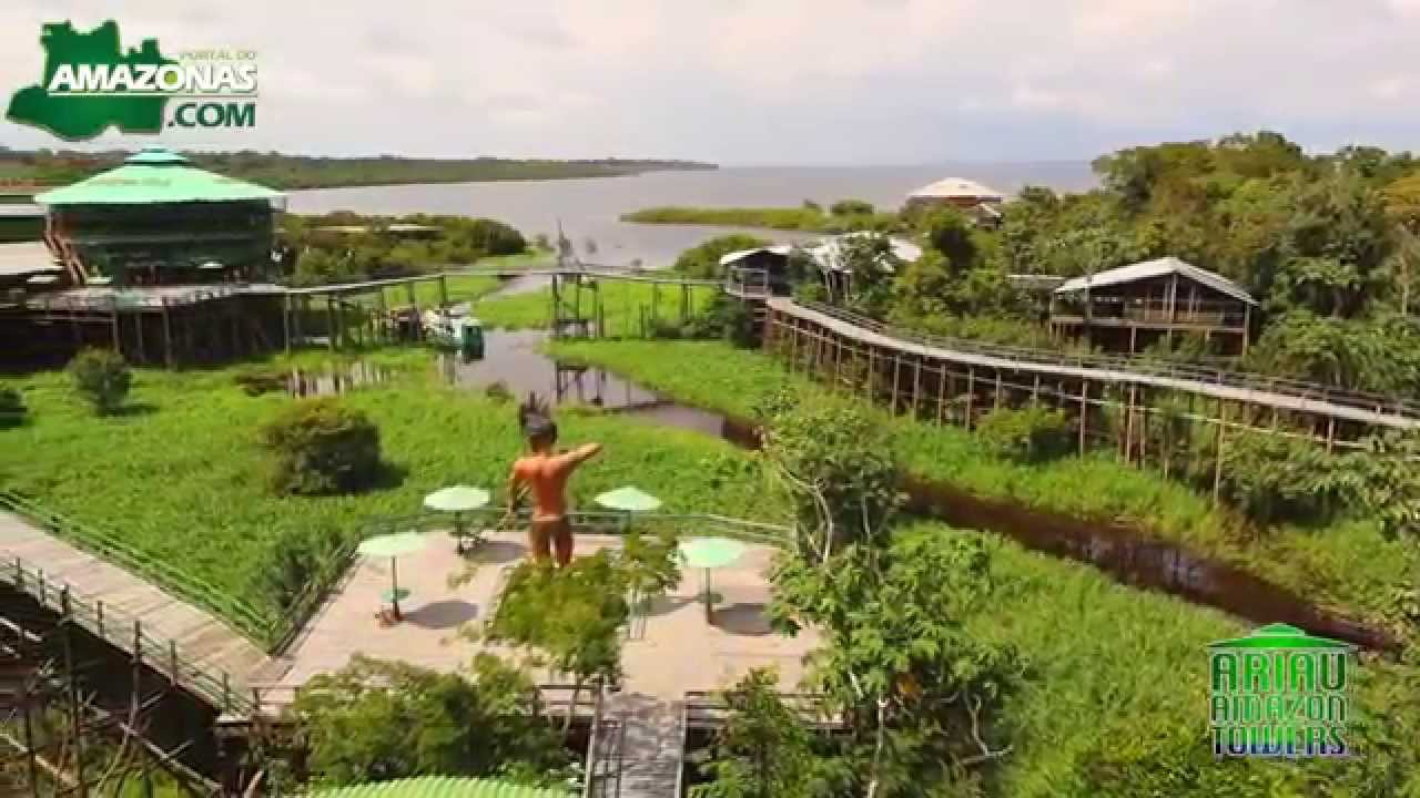 Conheça o Amazonas, comece pelo Ariaú Amazon Towers no coração da ...
