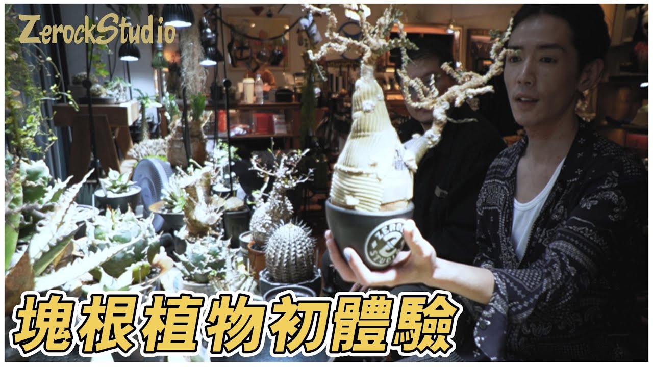 【🔥藏身二樓的超chill店家🔥 ft.Zerock Studio】【店家大放送😃 塊根植物 日本銀飾 露營裝備】【goro's】【Horizon Blue】 - YouTube