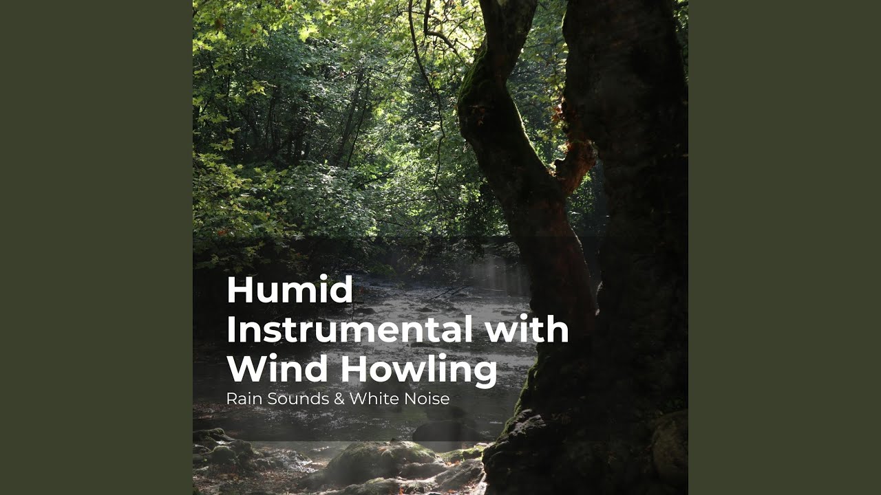 Sound of Blowing Wind - YouTube