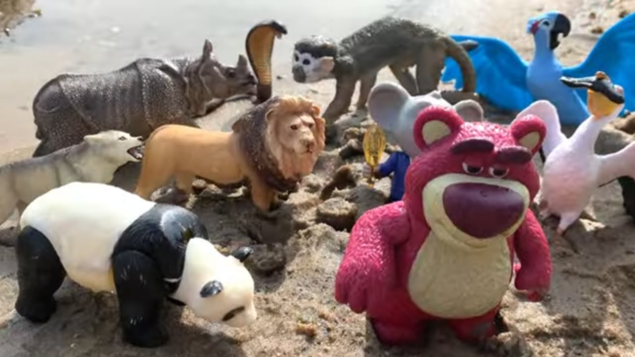 📚 Learning Fun Facts with Zoo Animal Toys for Kids! - YouTube