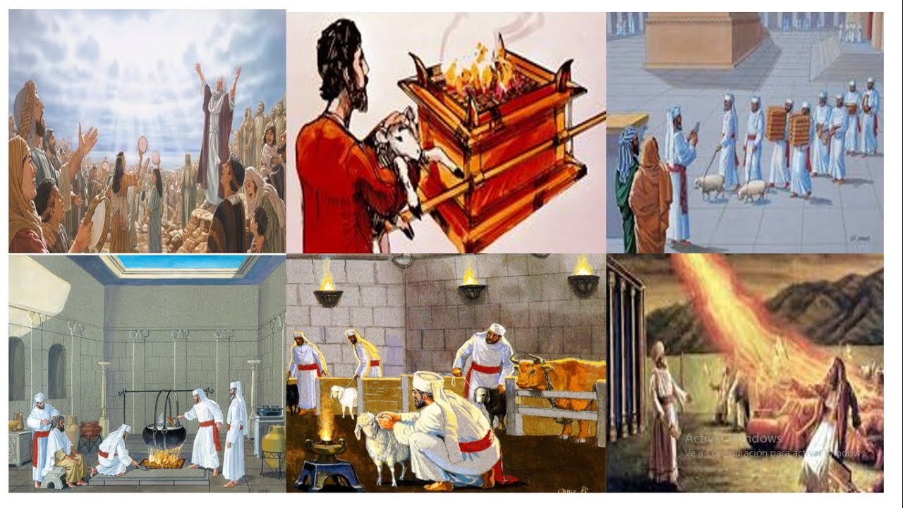 LEVITICO CAPITULO # 9 - YouTube