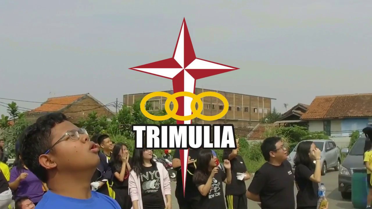 Trimulia School Profile Promotion 2017 - YouTube