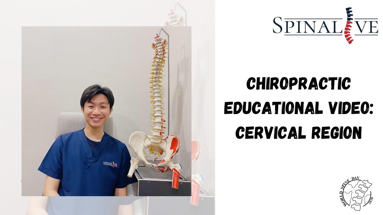 Chiropractic Educational Video: Cervical Region - YouTube