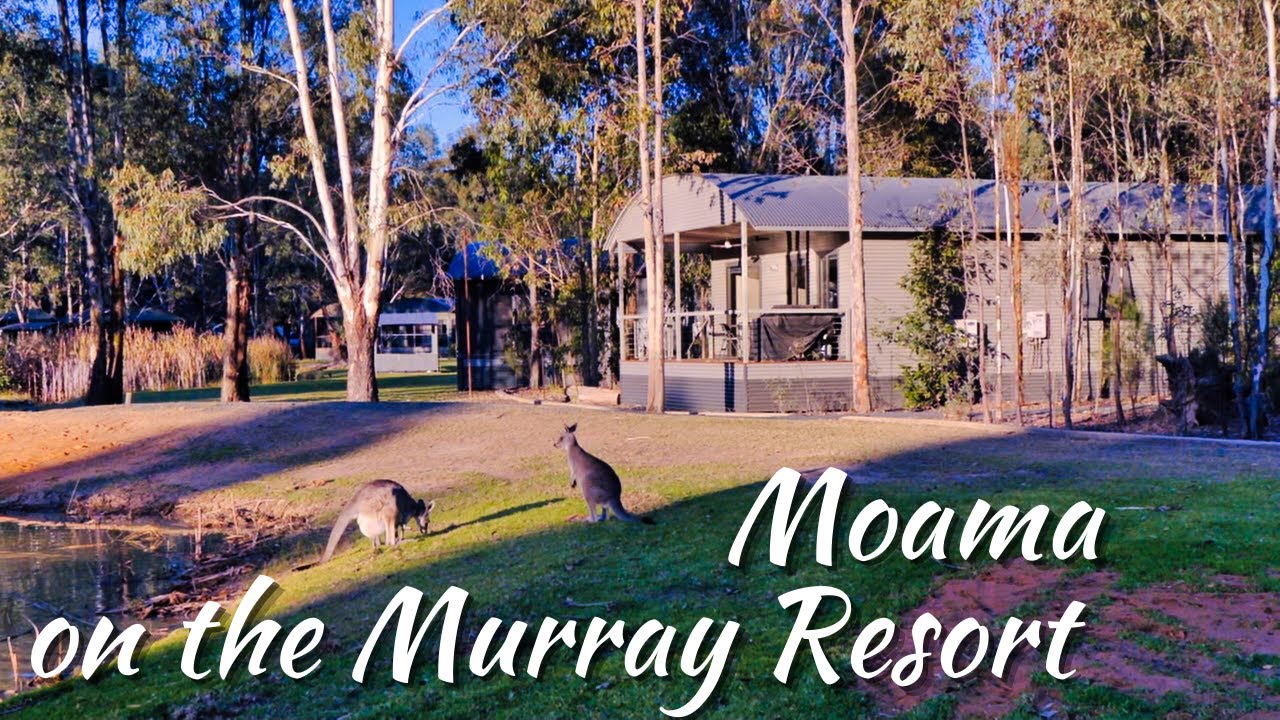 MOAMA ON THE MURRAY RESORT - YouTube