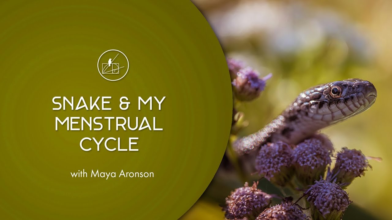 Snake and My Menstrual Cycle - YouTube
