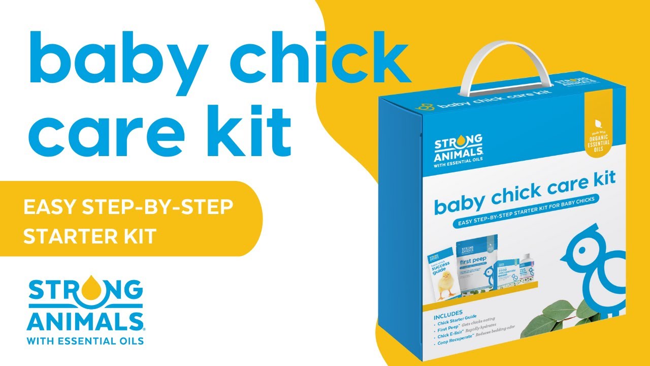 Baby Chick Care Kit | Strong Animals® Chicken Essentials - YouTube