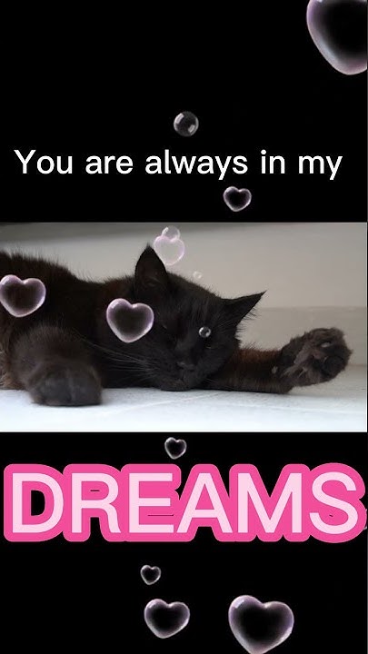 You Are Always in My Dreams - YouTube