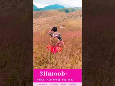 Toj roob zoo nkauj heev - YouTube