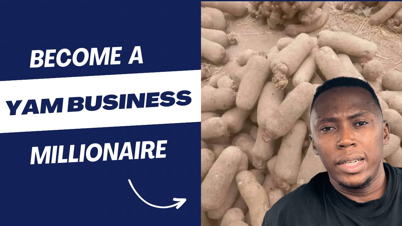 How To Make N500K Monthly Selling Yam Online In Nigeria | Make Money ...